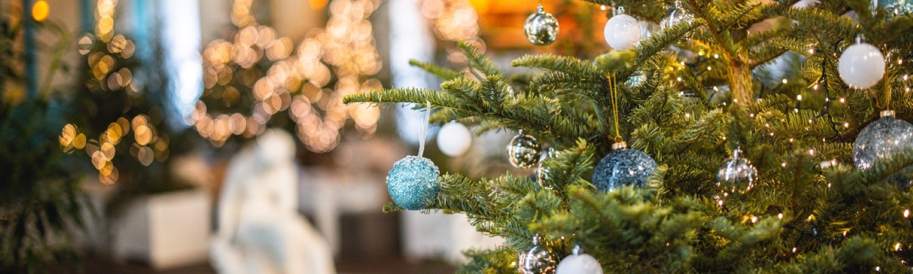 Festive Season Celebrations - Magical Moments Await